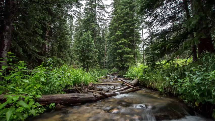 Hidden Valley Stream In Colorado Rocky Mountain National Park Time ... Hidden Valley Stream In Colorado Rocky Mountain National Park Time ...
