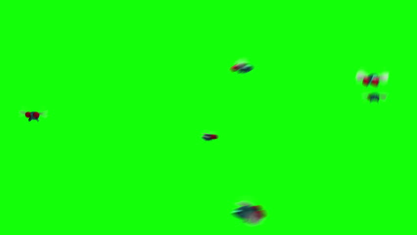 Cartoon Swarm Of Flies