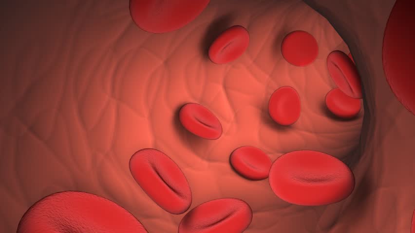This High Definition CG Rendering Is Of The Inside Of A Vein With Blood ...