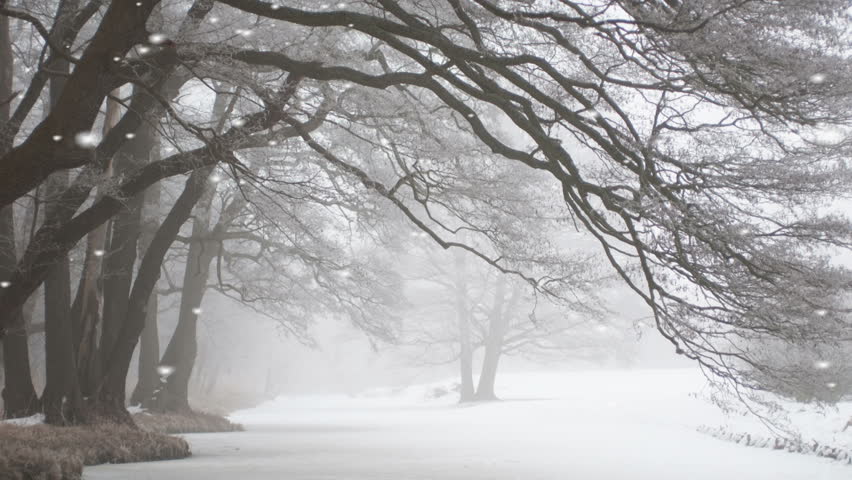 Winter Landscape With Falling Snow Stock Footage Video 3750878 ...