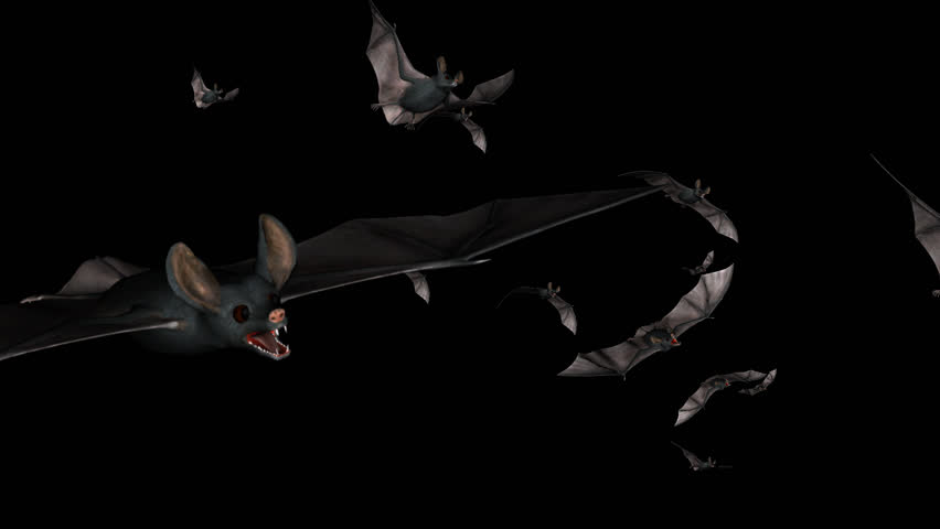 Bat Swarm - Front Flying Transition 2 - Alpha Channel - Aggressive ...