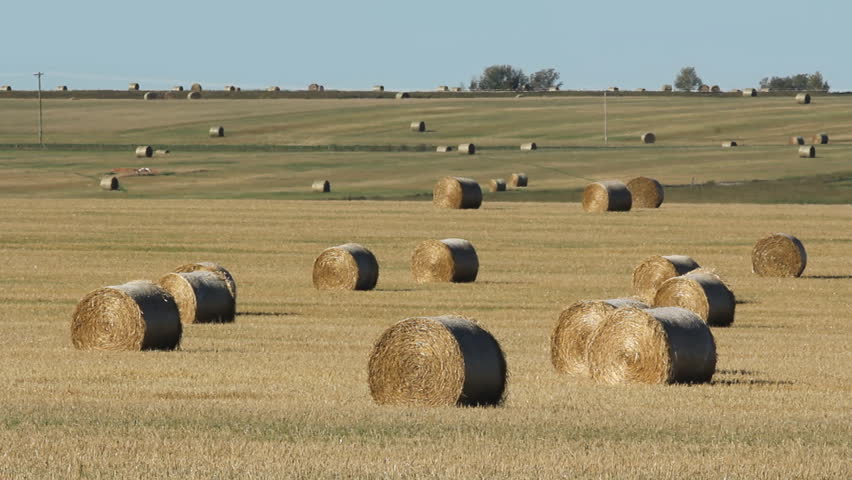 Hay Bales In A Field. Alberta, Canada. Bales Of Hay In A Field With ...