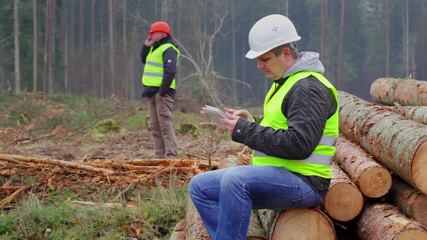 Forest Engineer With Tablet PC And Cell Phone Near Piles Of Logs Stock ...