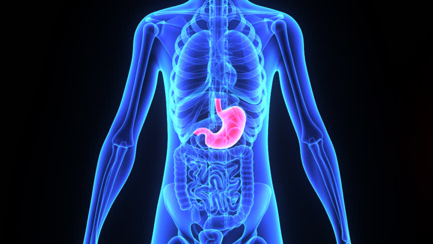 Stomach Stock Footage Video 7877224 - Shutterstock