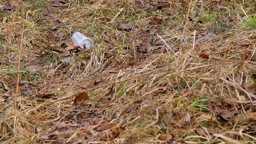 Garbage In Grass. Nature Pollution. Natural Disaster. Urban Pollution ...
